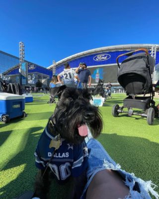 The Star in Frisco – The Dallas Cowboys World Headquarters and practice ...